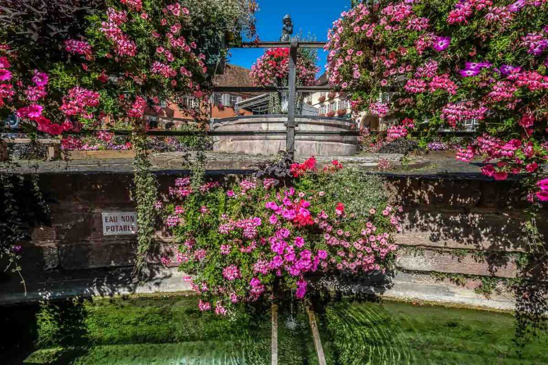 Barr im Elsass - Bonjour Elsass